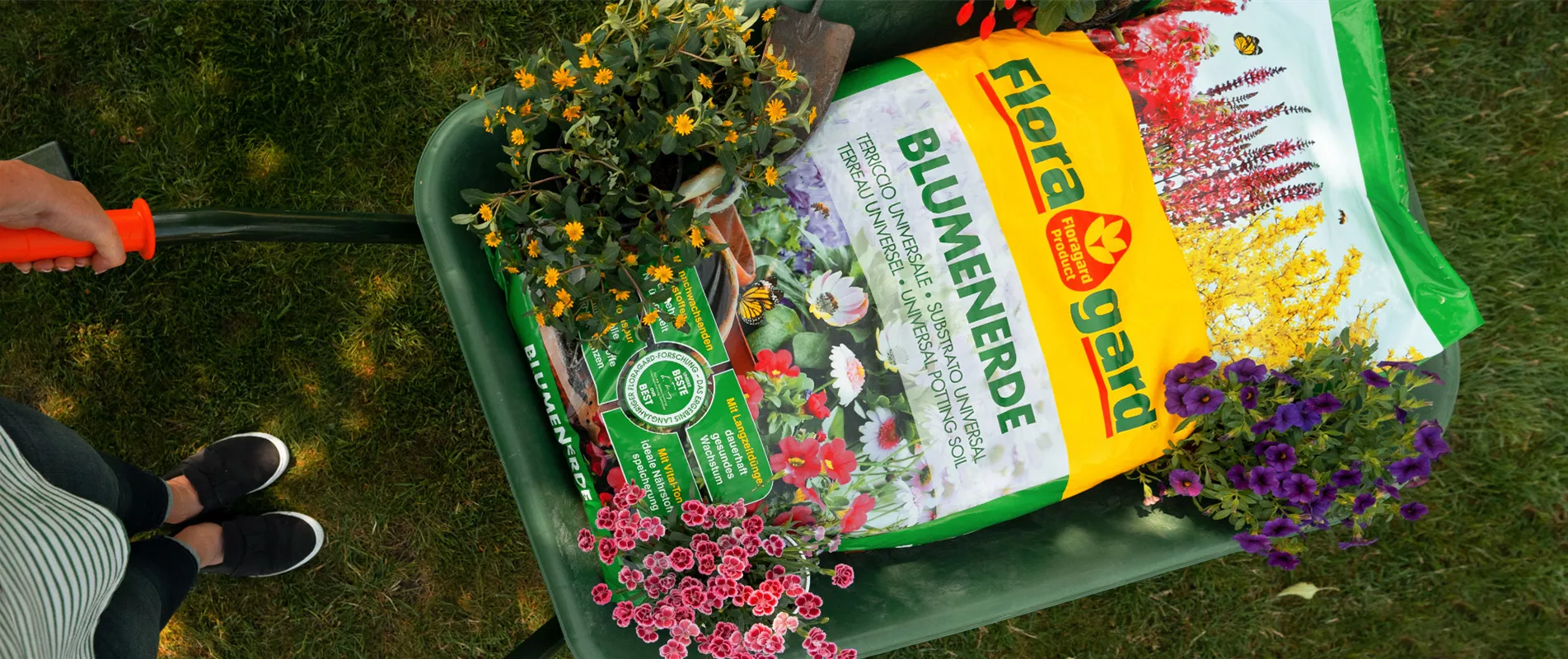Floragard 100% Premium Blumenerden & Substrate