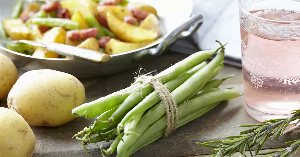 Gartenbohne Pflanze, Pflege & Tipps Floragard