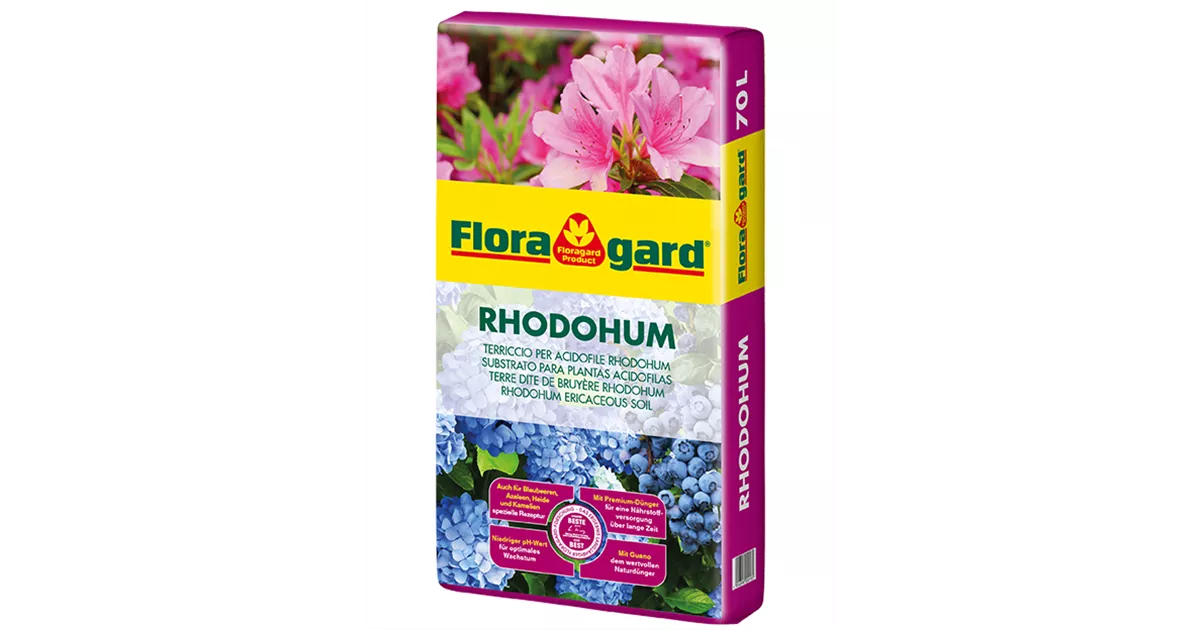 Rhodohum für Moorbeetpflanzen kaufen Floragard